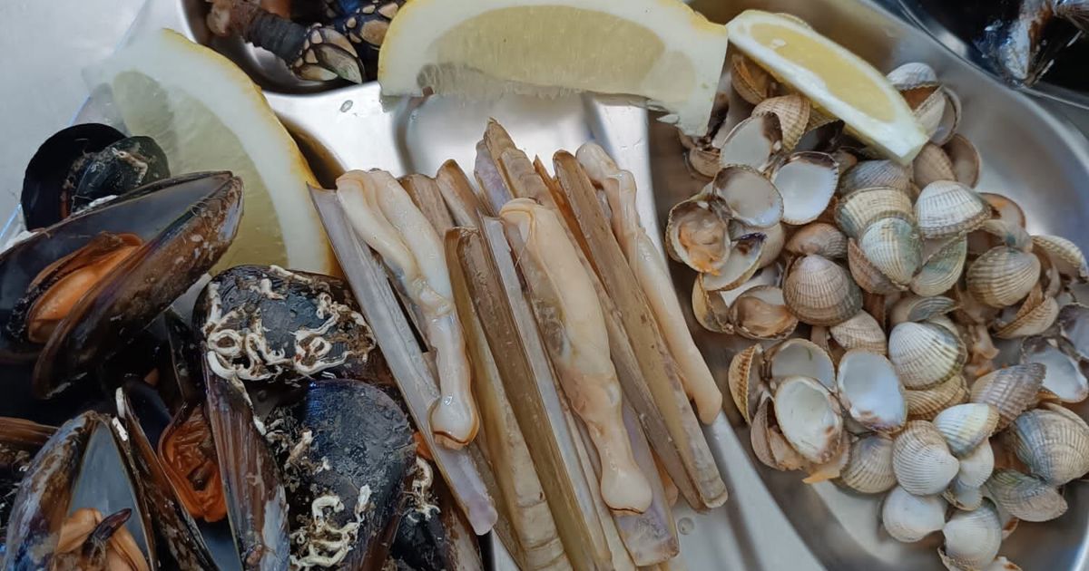 Stolt Sea Farm supports local fishermen in Spain | News | News ...