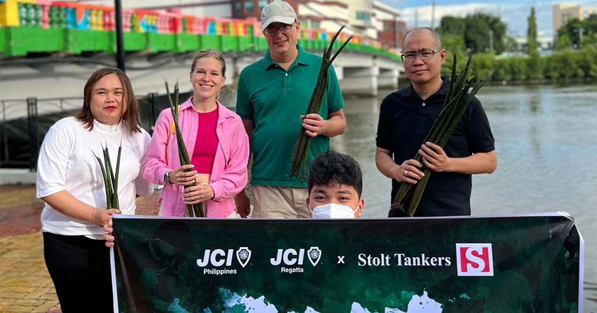 Stolt Tankers supports restoration of mangroves in the Philippines ...