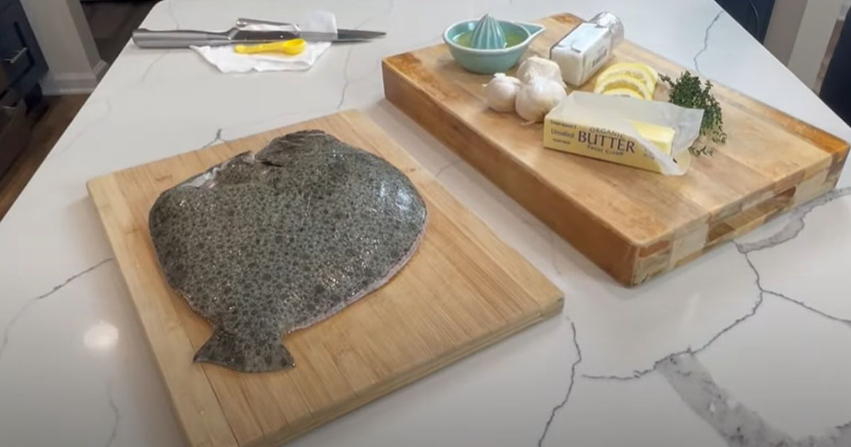 Stolt Sea Farm’s fresh turbot stars on popular seafood cooking show ...