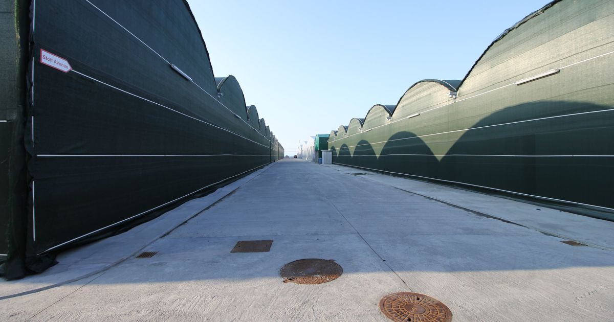 Stolt Sea Farm’s unique sustainable aquaculture park gains interest in ...